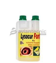Lysocur forte comed