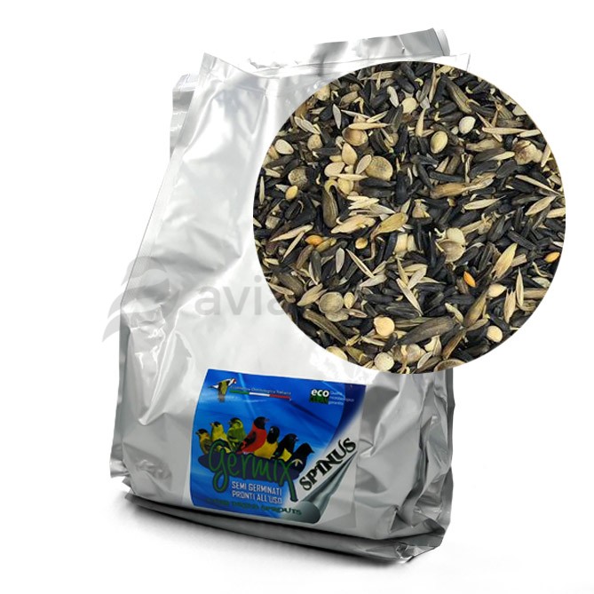 Germix Spinus; semillas germinadas Germix