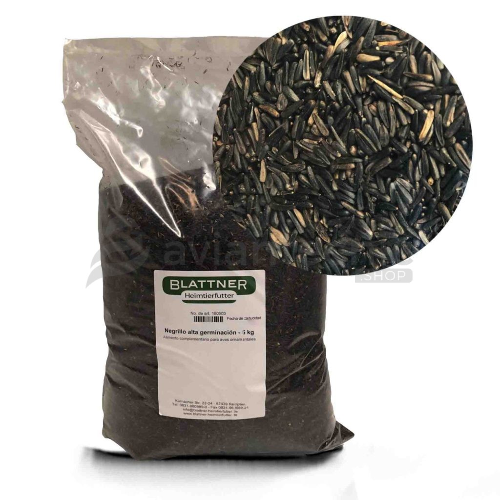 Semillas negrillo alta germinación Blattner para aves, canarios y jilgueros