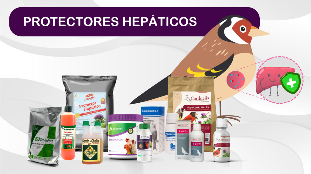 Mejores protectores hepáticos para pájaros y aves