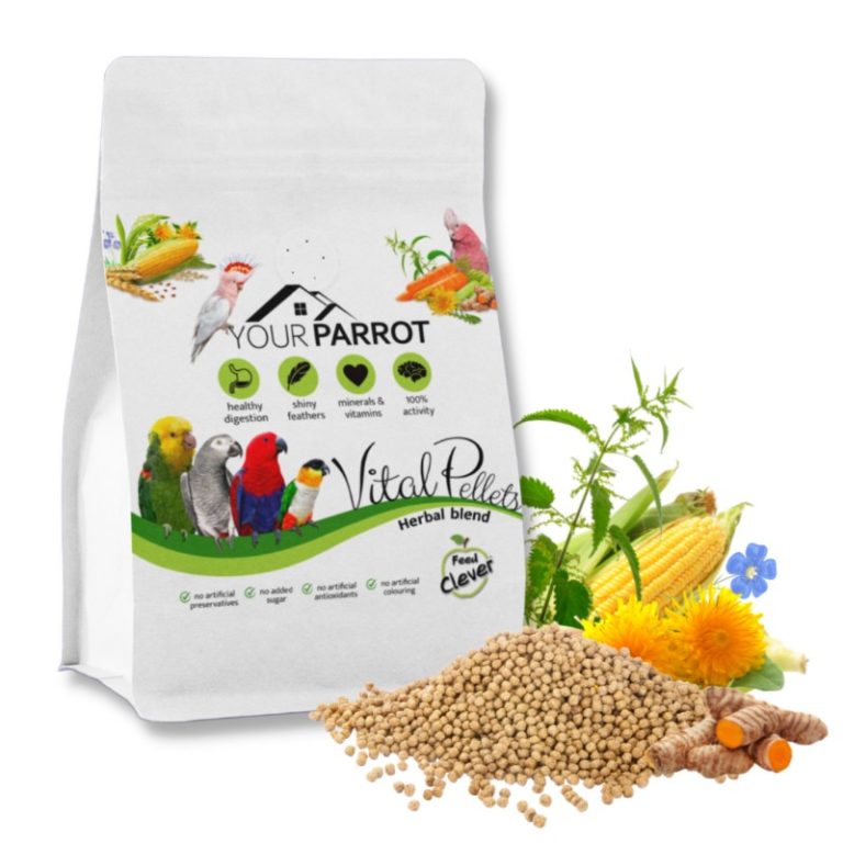 Tienda ornitología, comida, alimentos y accesorios para pájaros y aves