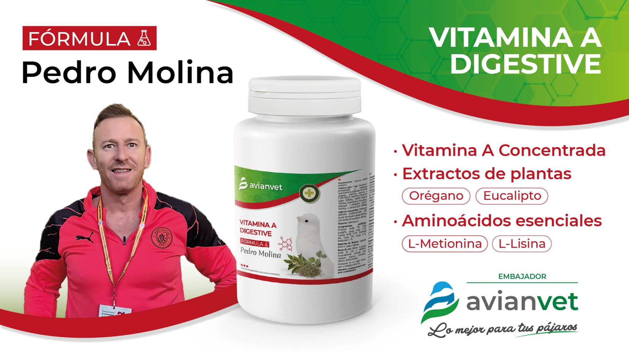 Vitamina A Digestive Fórmula Pedro Molina de Avianvet