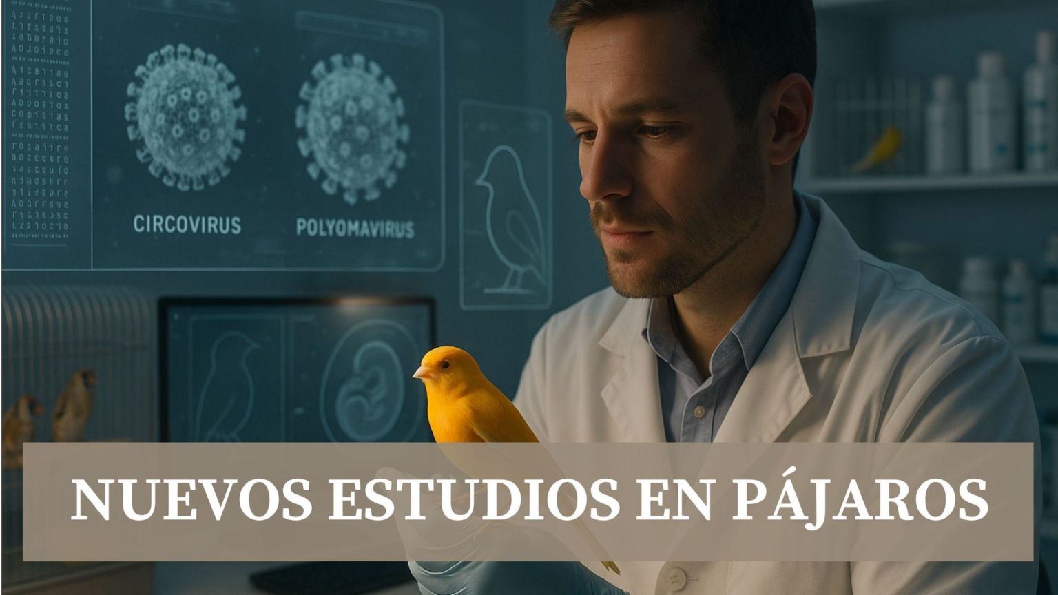 Nuevos estudios sobre Circovirus y Polyomavirus en aves